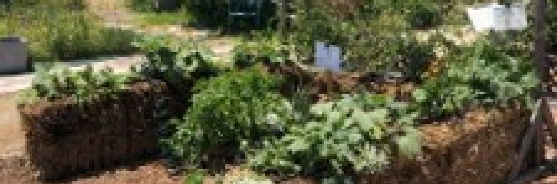 Straw Bale Gardening | UC Master Gardeners of Placer County